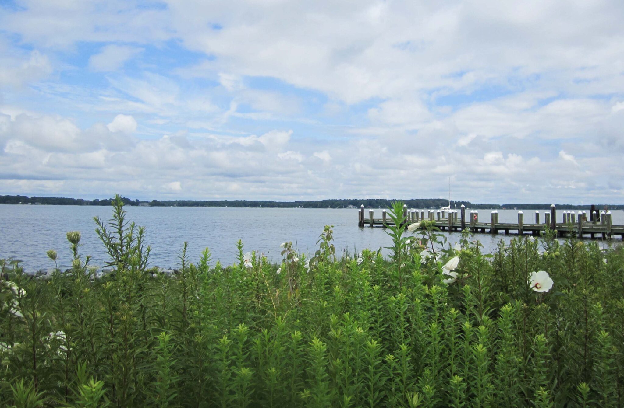 Official Home of Kent Soil and Water Conservation District